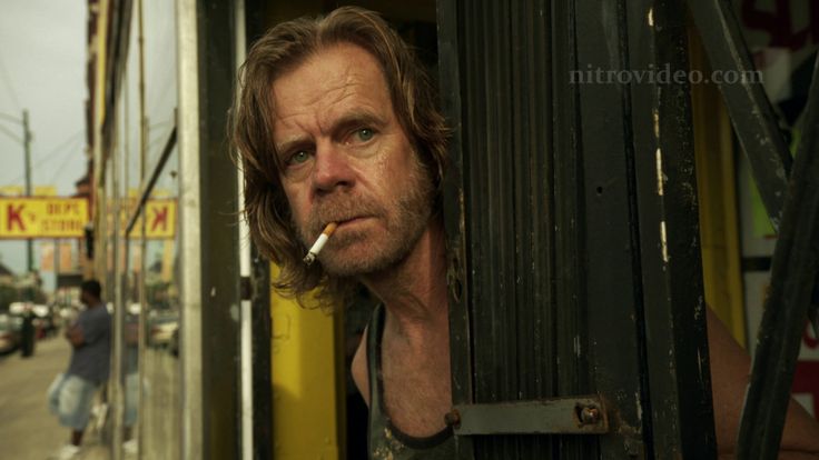 Picture of Shameless (US)