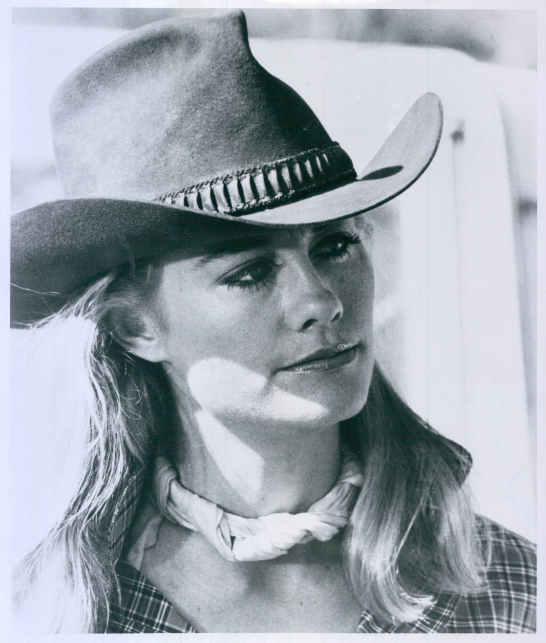 Picture of Cybill Shepherd