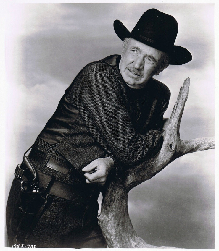 Walter Brennan image