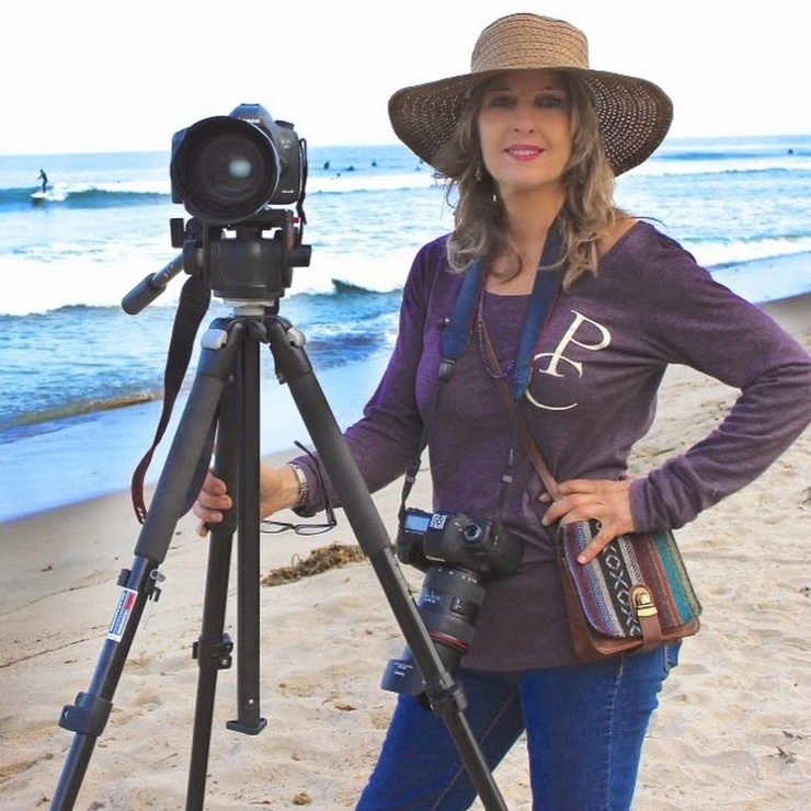 Picture of Carol Stoddard