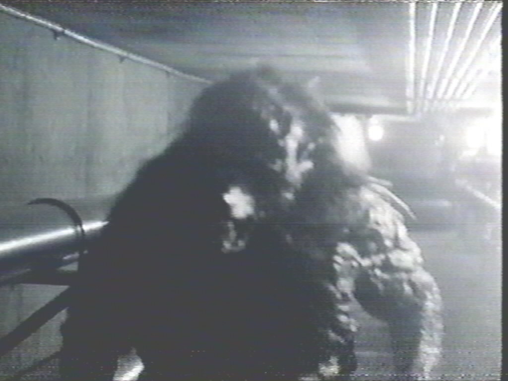 Picture of Project: Metalbeast