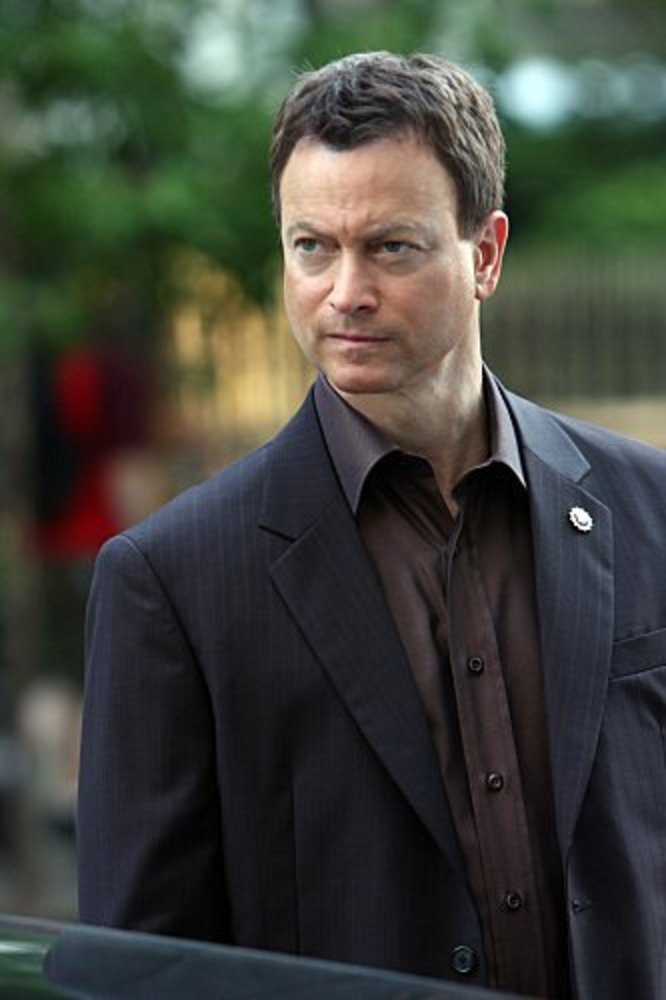 Gary Sinise image