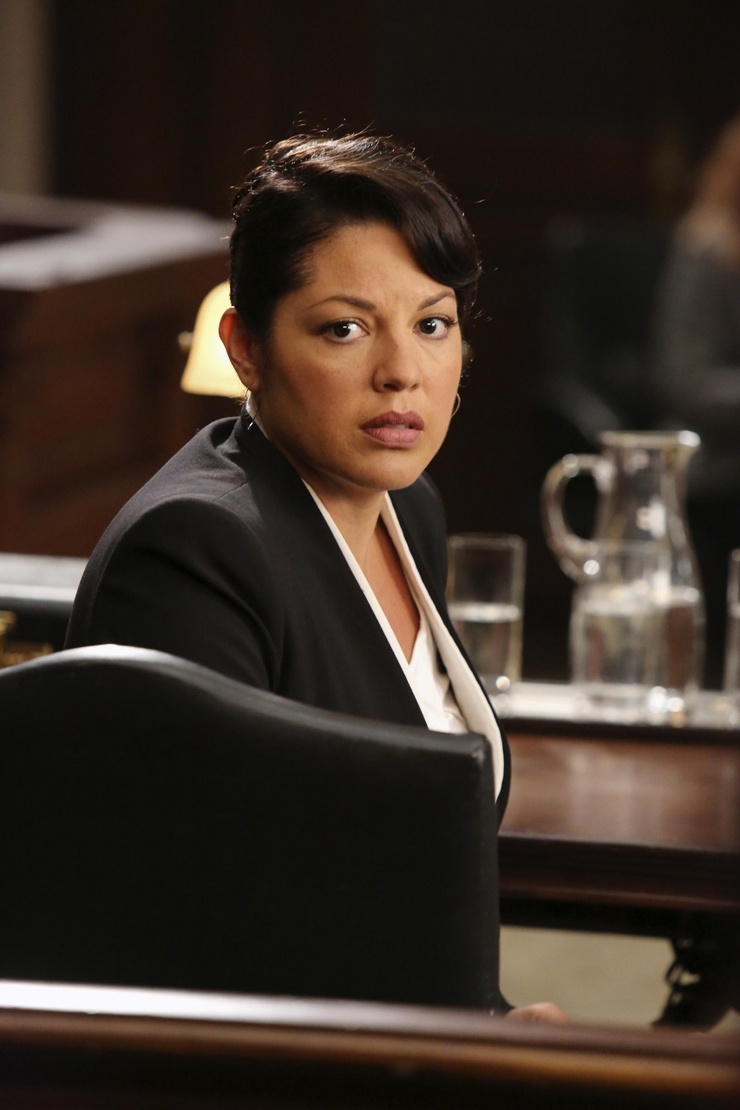 Picture of Sara Ramirez