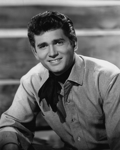 Picture of Bonanza