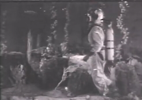 Image of Diver Dan