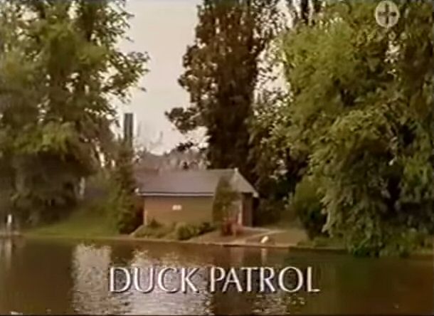 Picture of Duck Patrol