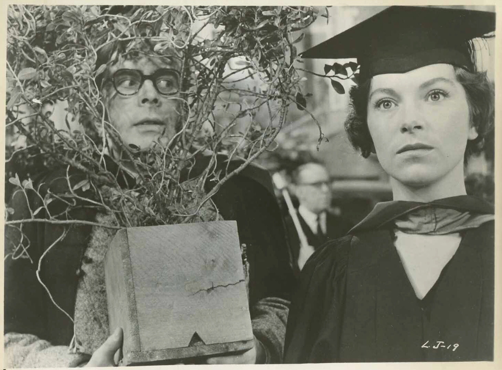 Picture of Lucky Jim