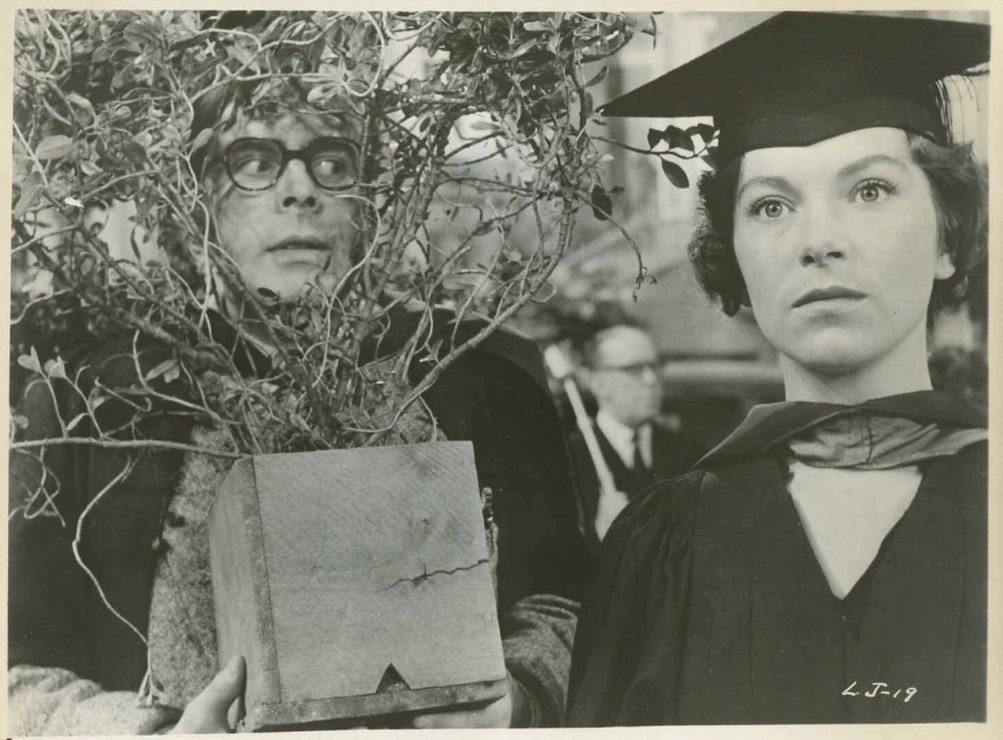 Maureen Connell picture