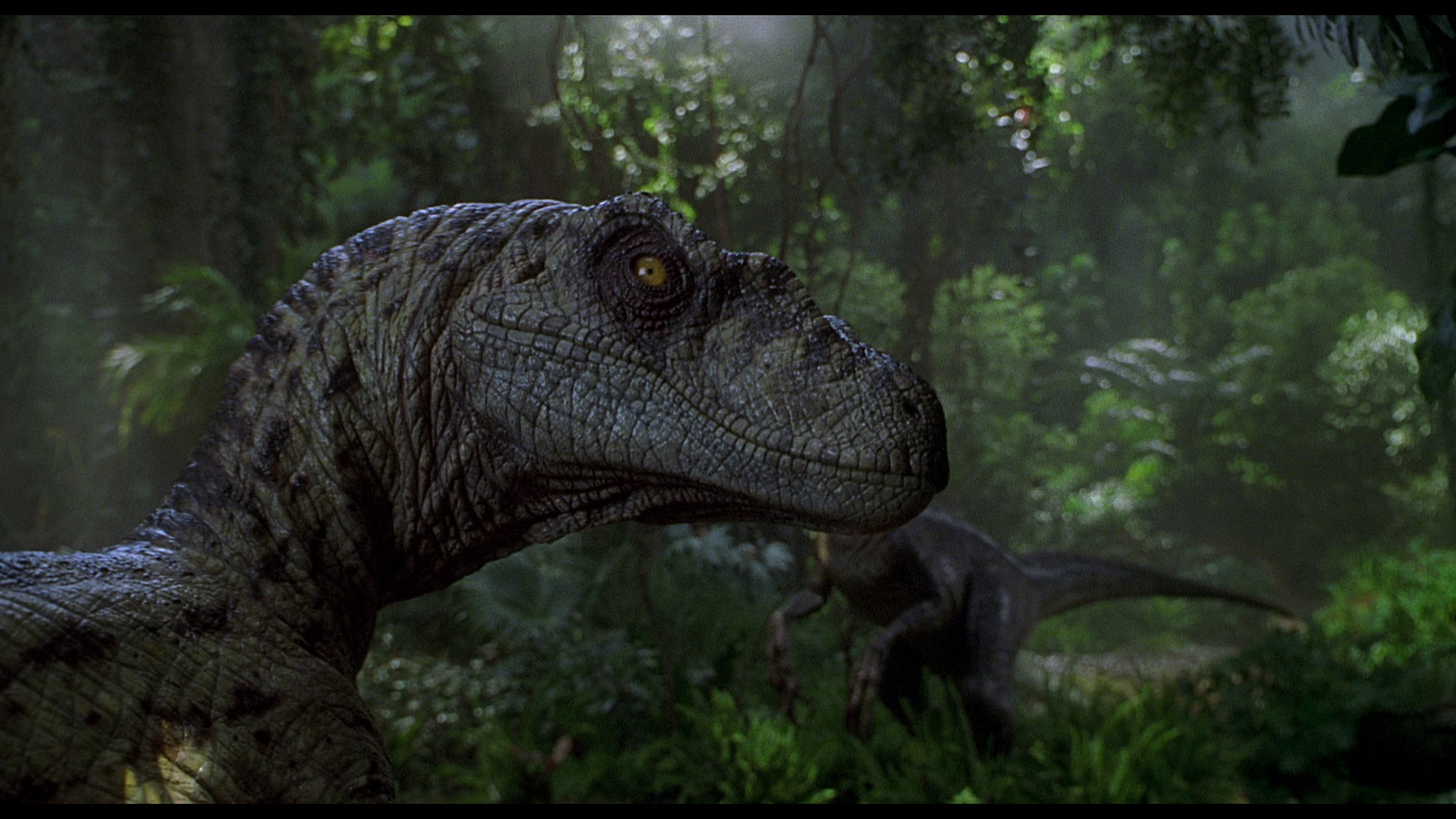 Jurassic Park III picture