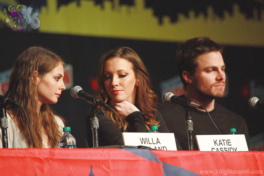 Picture of Stephen Amell