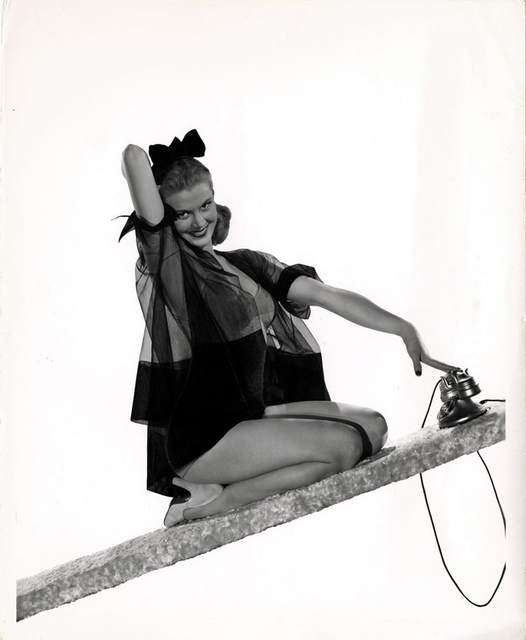 Picture of The Petty Girl (1950)