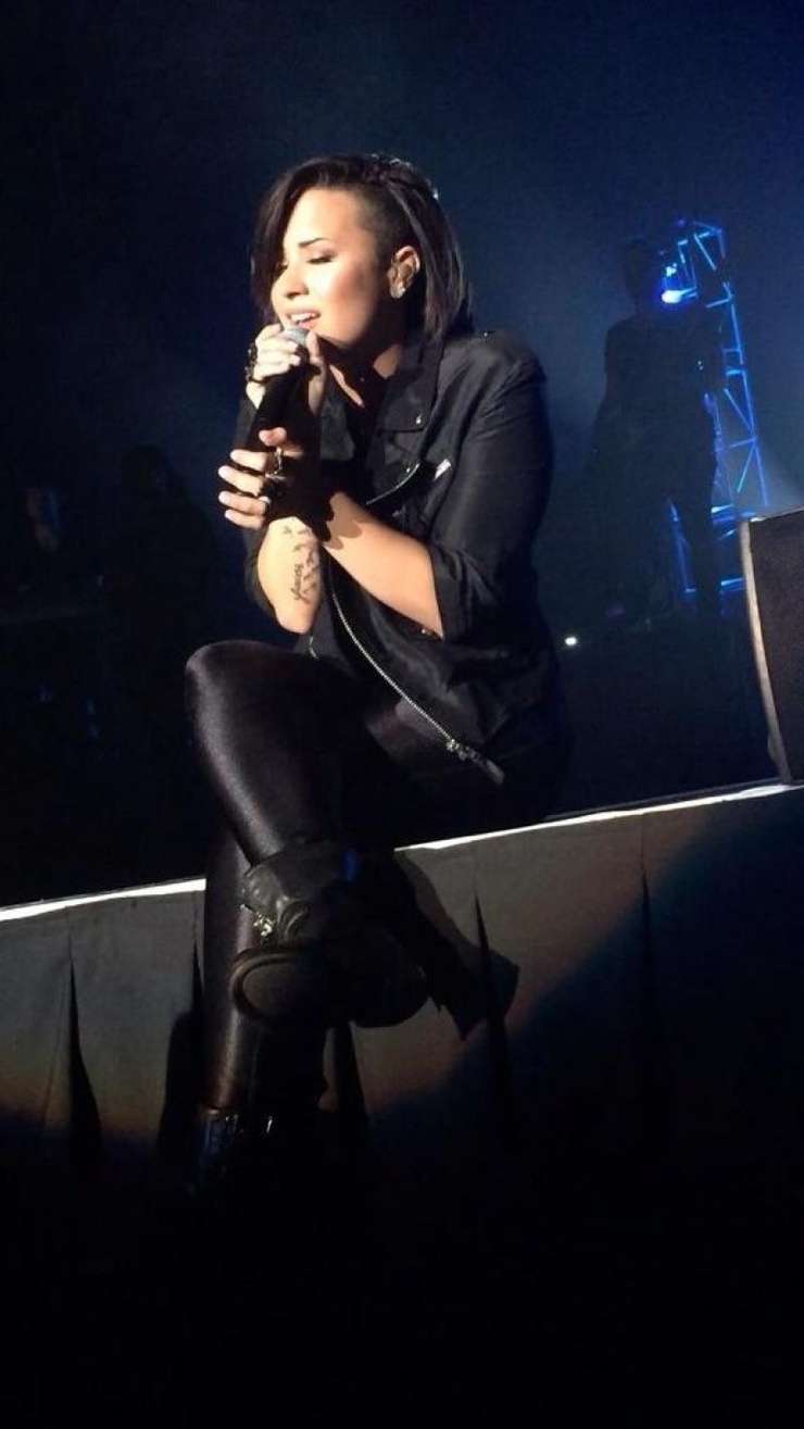 Picture of Demi Lovato
