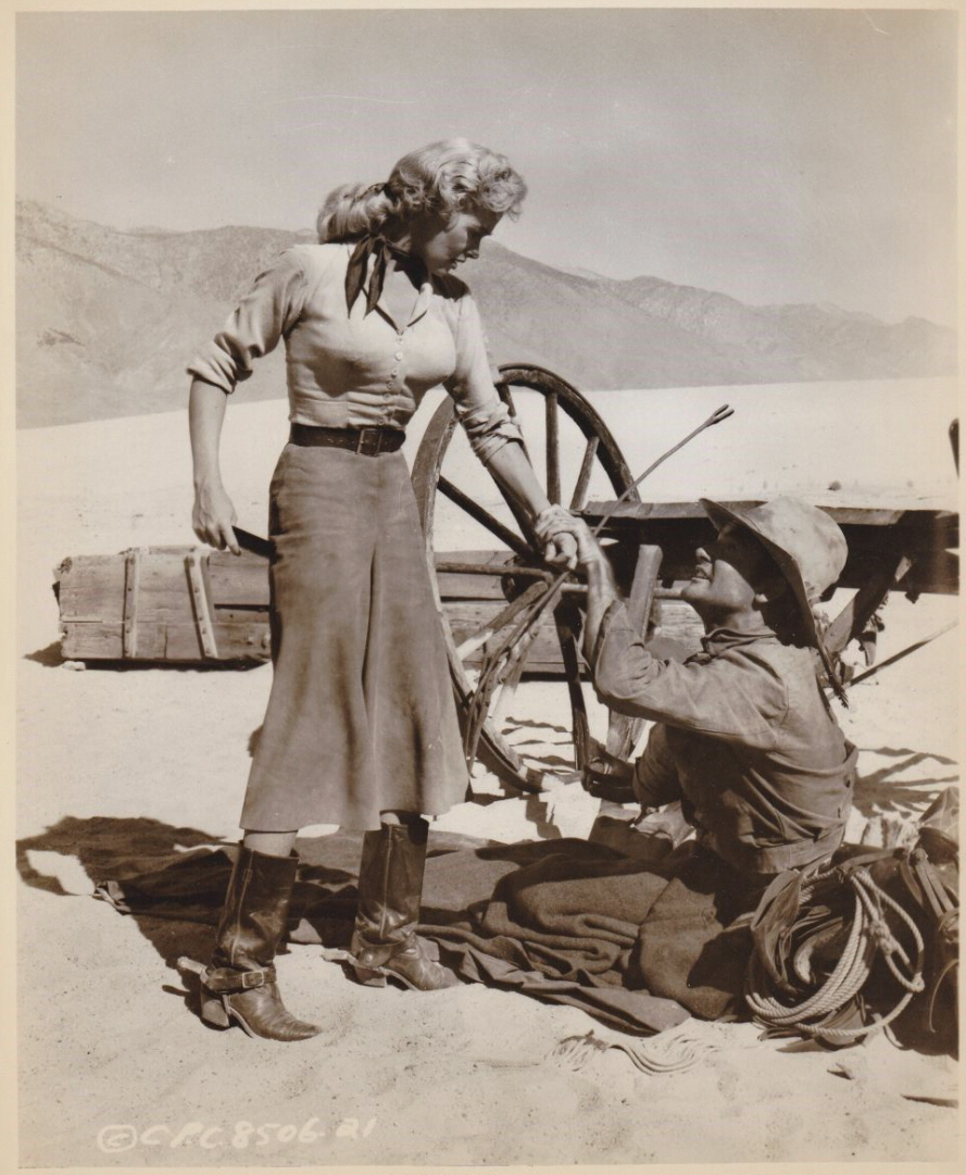 Picture of Karen Steele