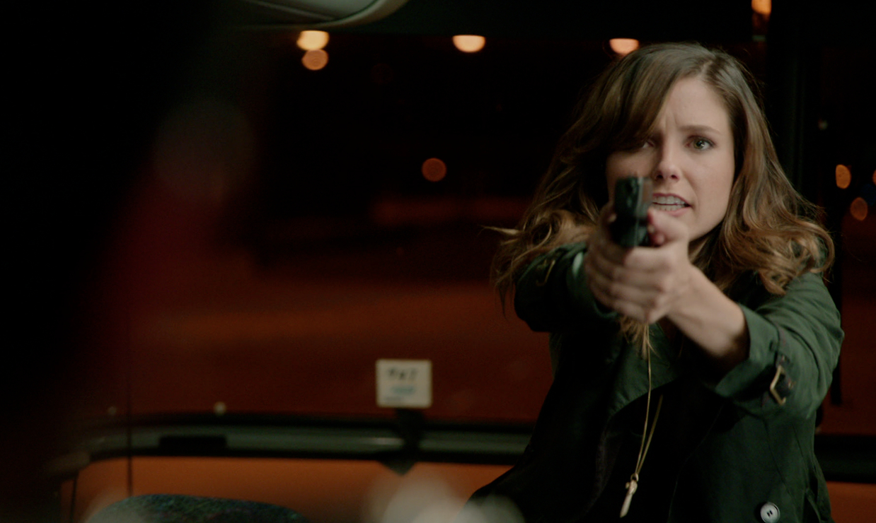 Picture of Chicago P.D.