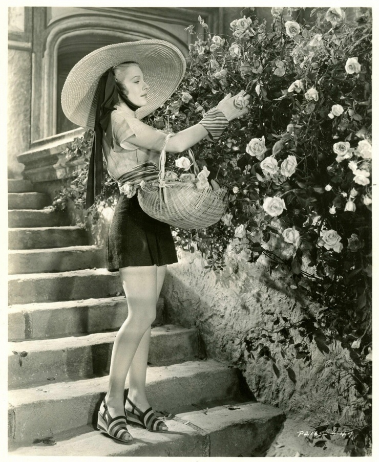 Shirley Ross