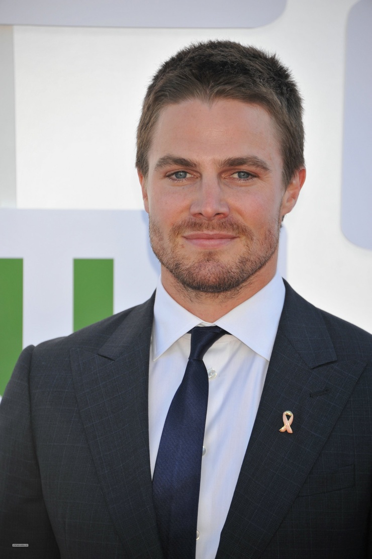 Picture of Stephen Amell