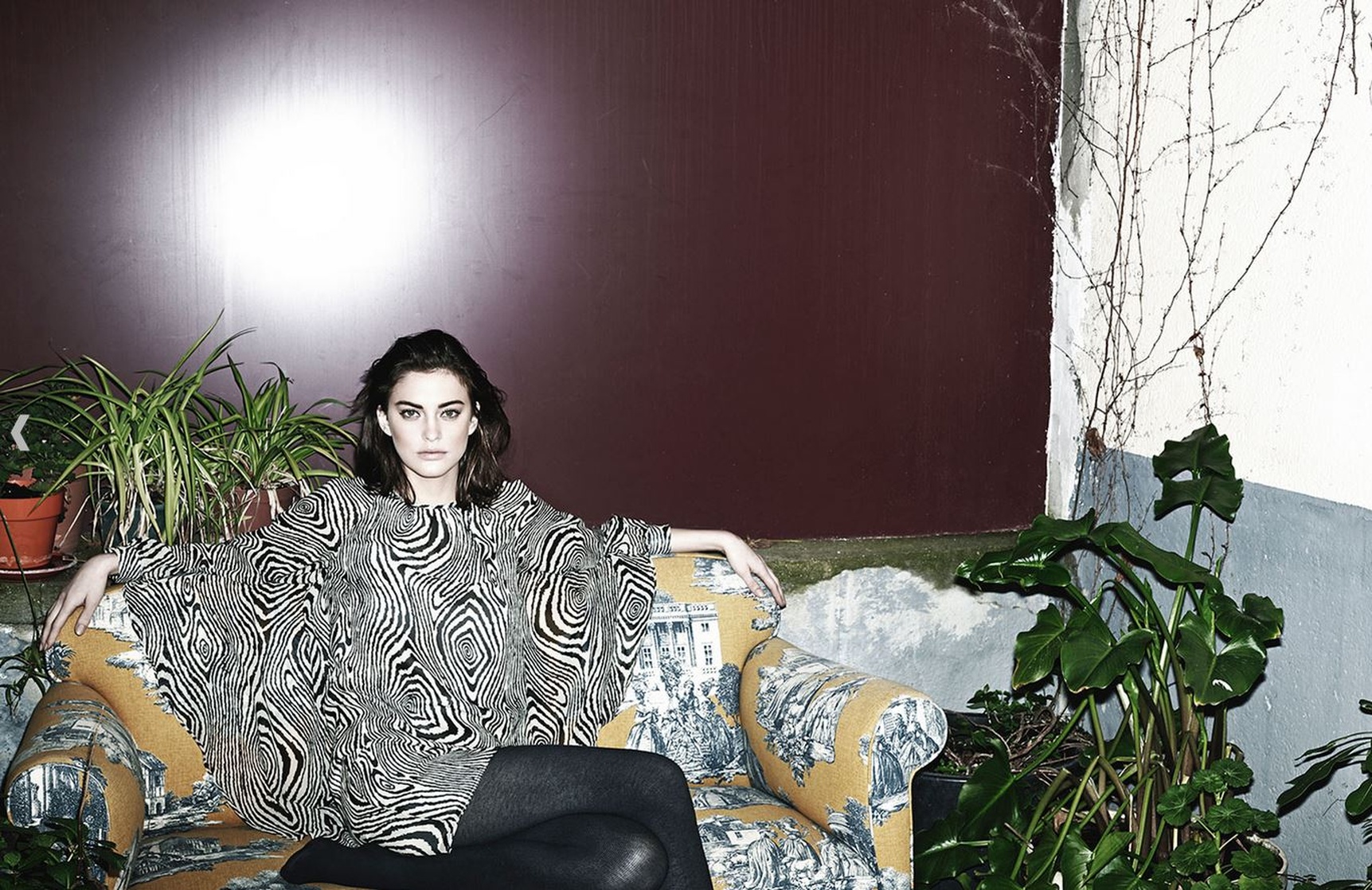 Alejandra Alonso image