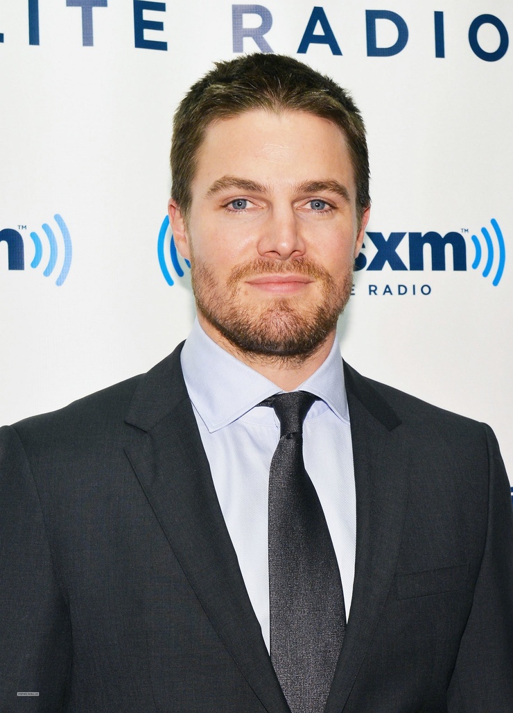 Stephen Amell picture
