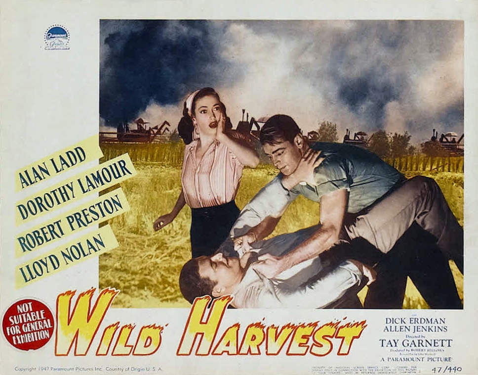 Picture of Wild Harvest