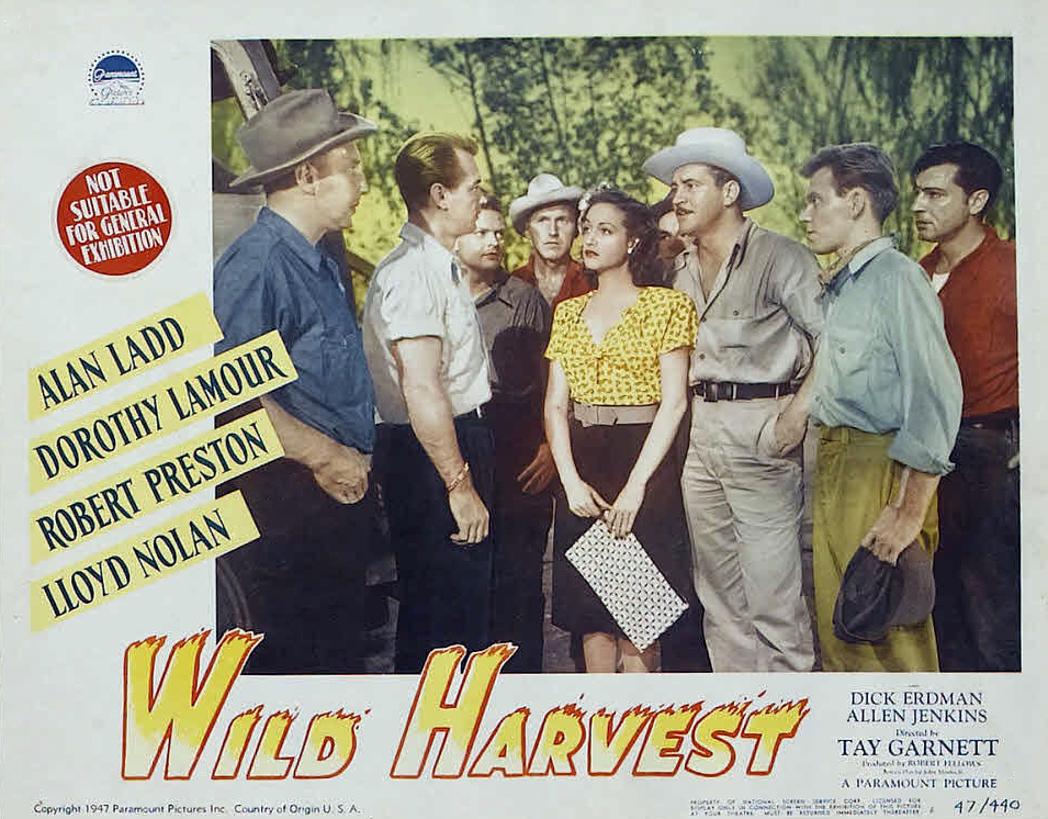 Picture of Wild Harvest