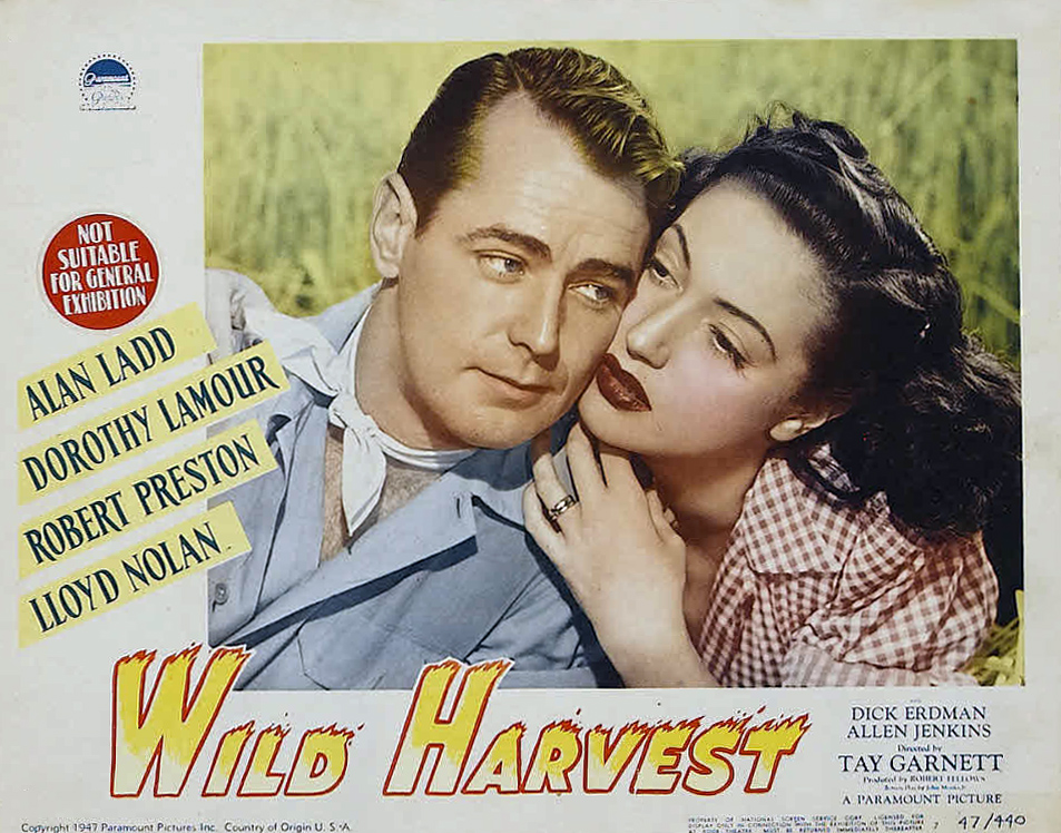 Picture of Wild Harvest