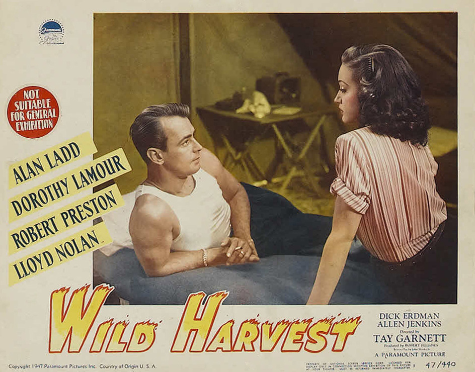 Picture of Wild Harvest