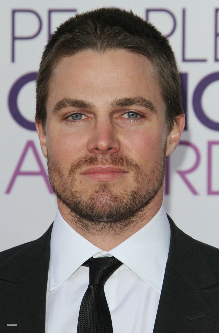 Stephen Amell picture