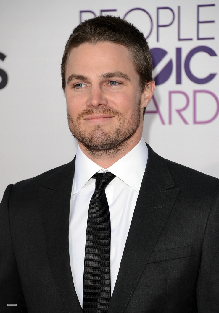 Picture of Stephen Amell