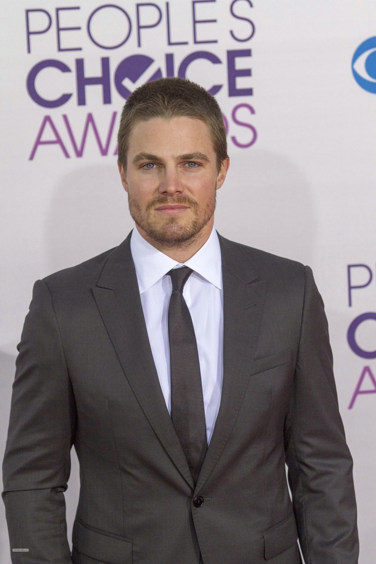 Picture of Stephen Amell