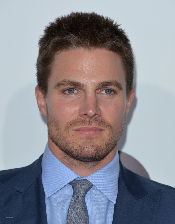 Stephen Amell picture