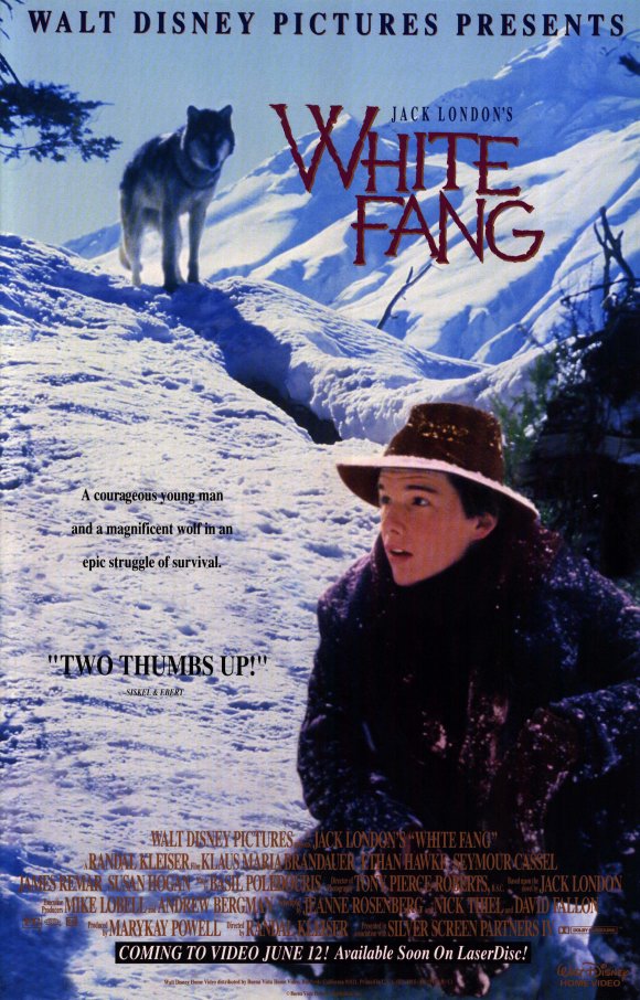 Picture of White Fang