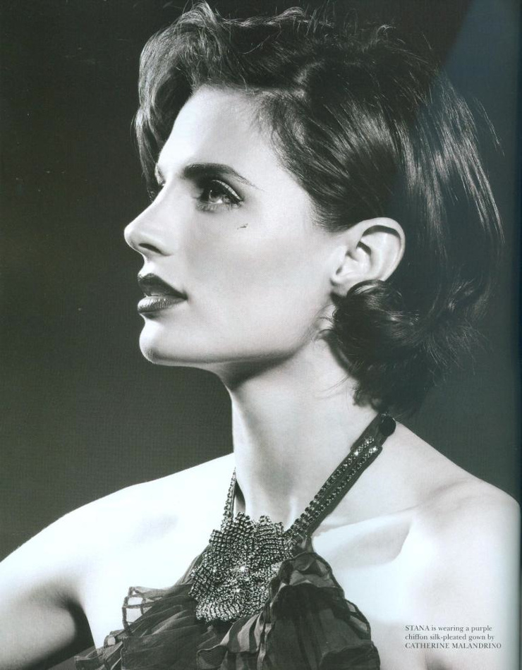Picture of Stana Katic