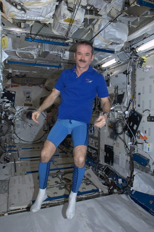 Picture of Chris Hadfield