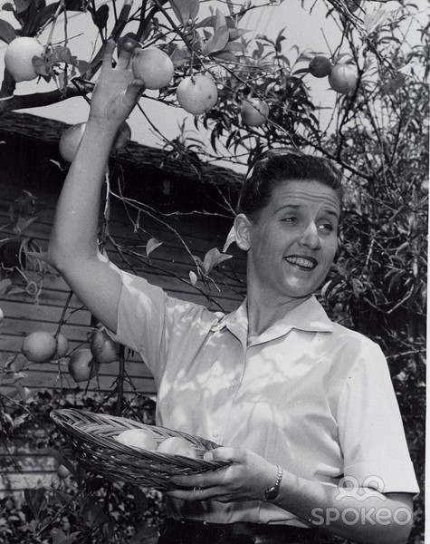 Image of Ann B. Davis