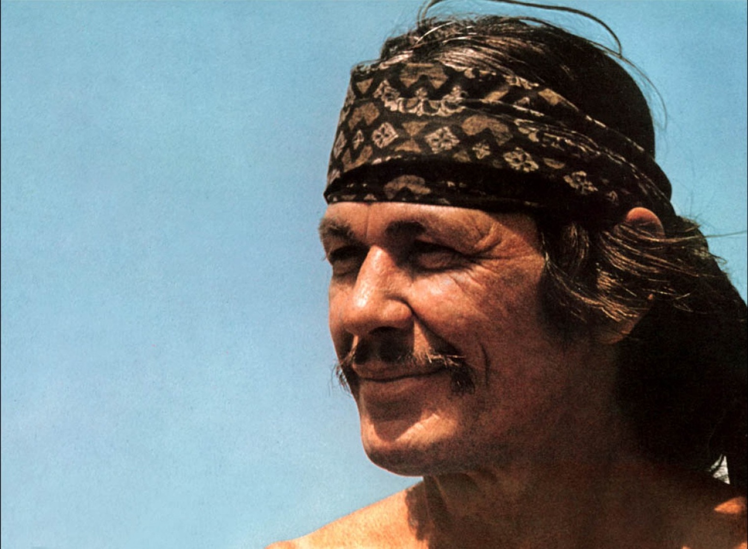 Picture of Chato's Land