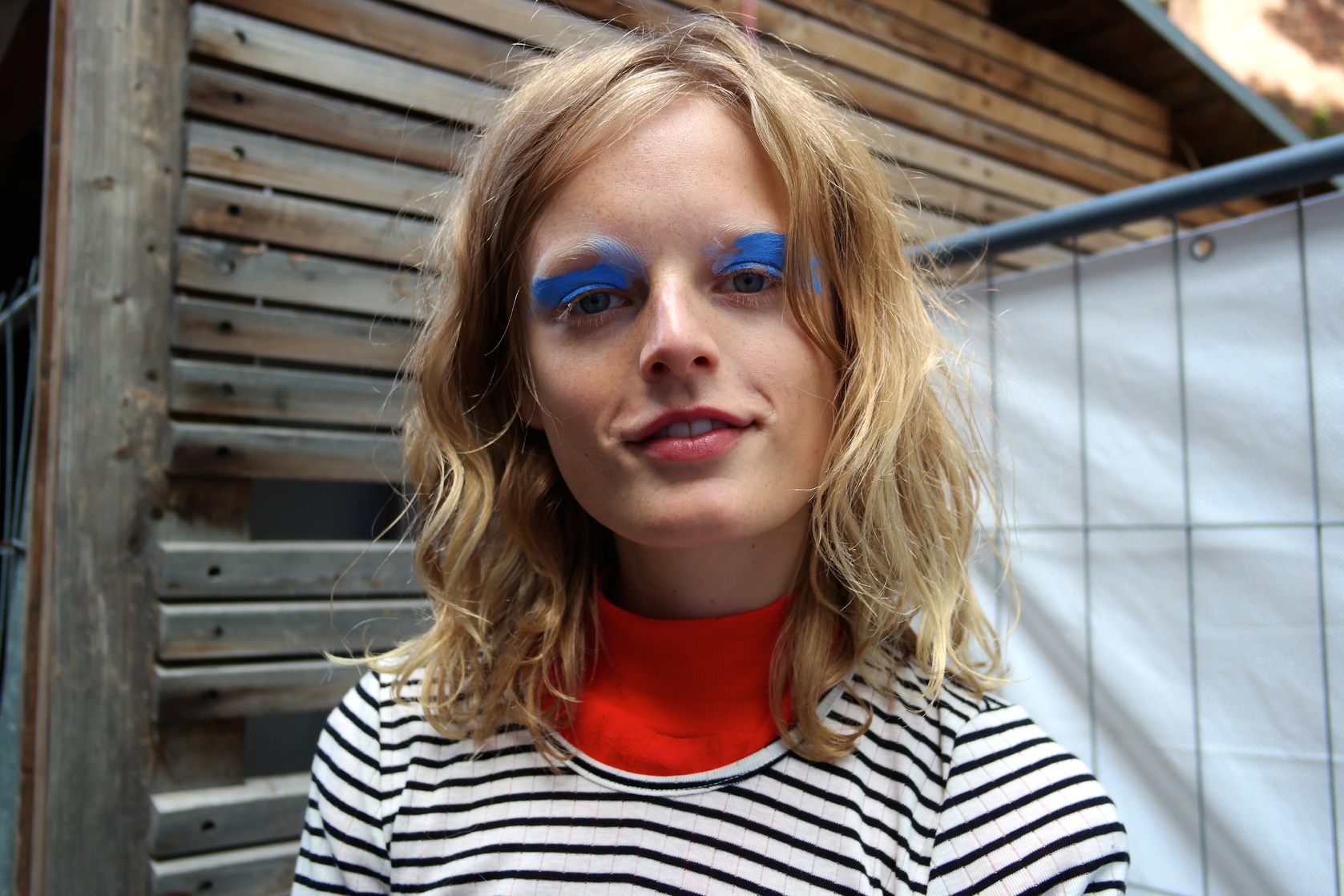 Picture of Hanne Gaby Odiele