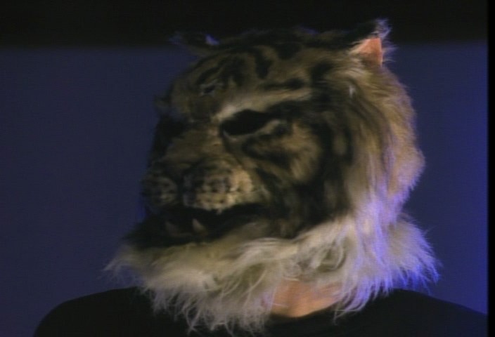 Picture of Lone Tiger