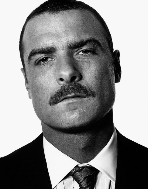 Picture of Liev Schreiber