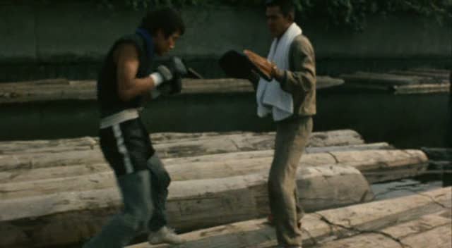 Picture of The Boxer (1977)
