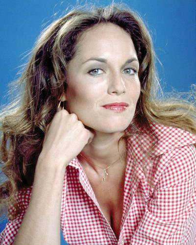 The Dukes of Hazzard image