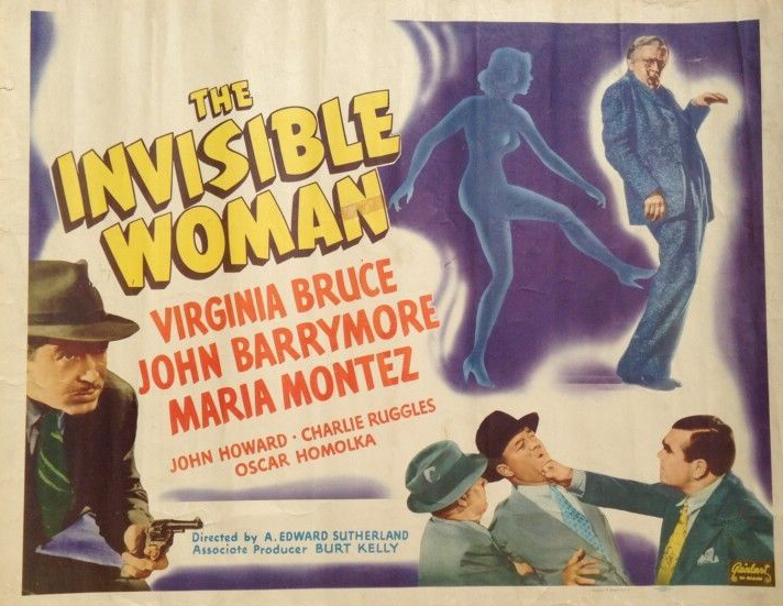 Picture of The Invisible Woman
