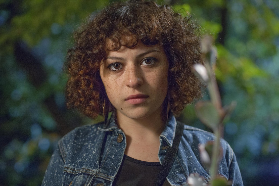 Alia Shawkat picture