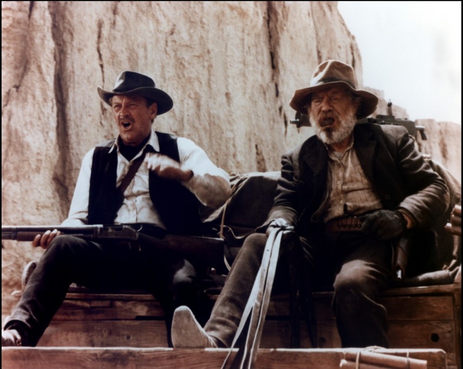 Picture of The Wild Bunch