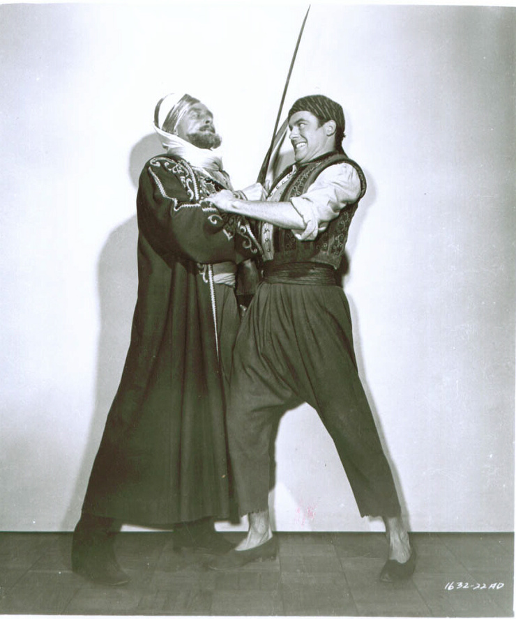 Picture of The Desert Hawk