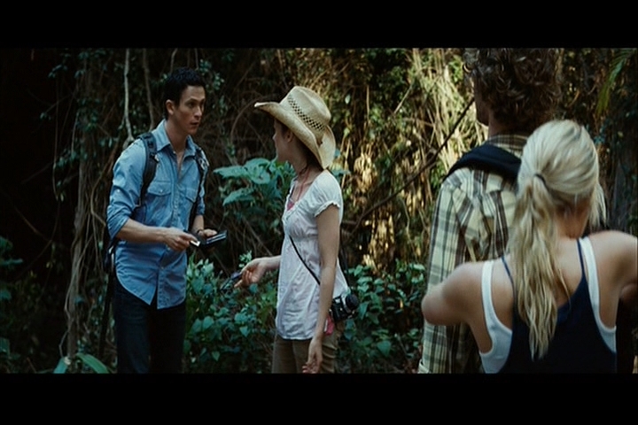 The Ruins picture