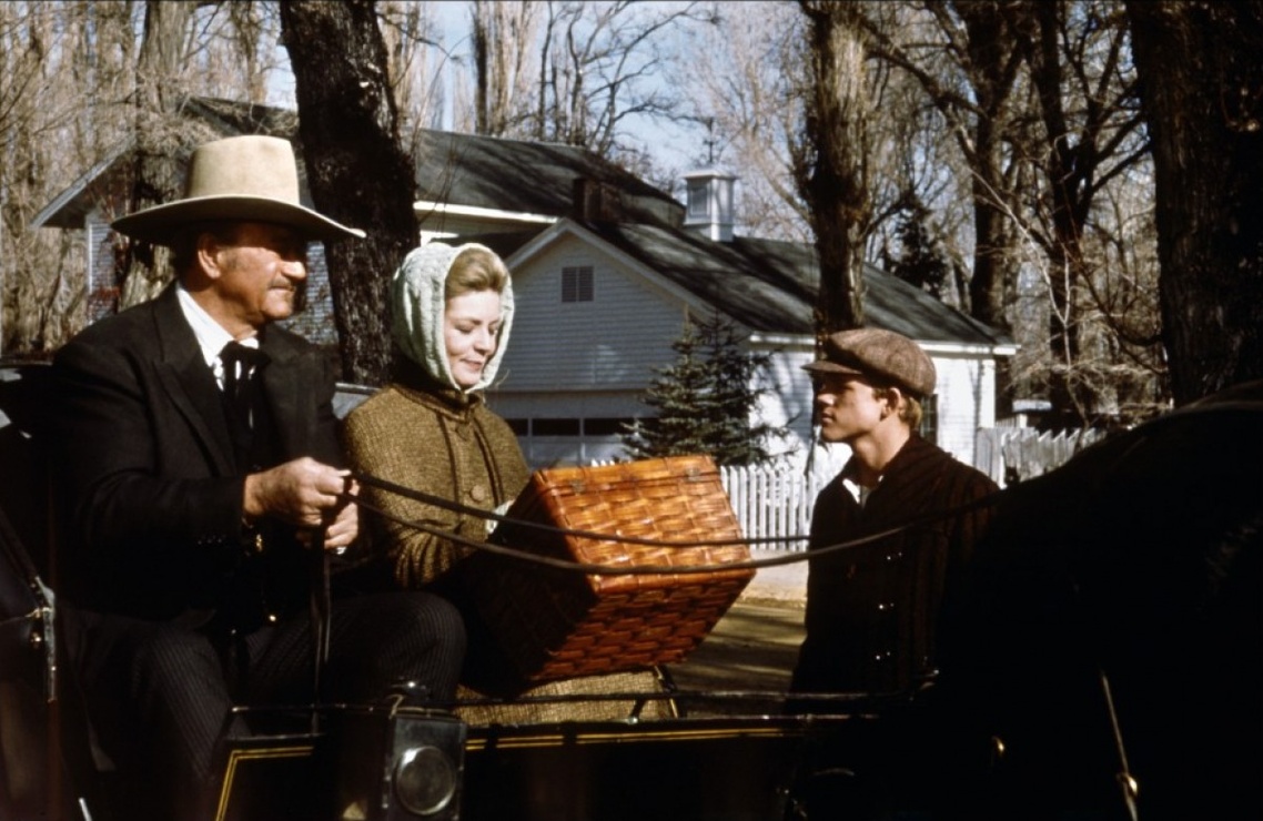 The Shootist picture