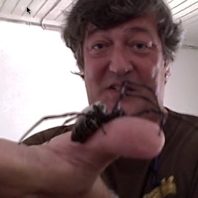 Picture of Stephen Fry