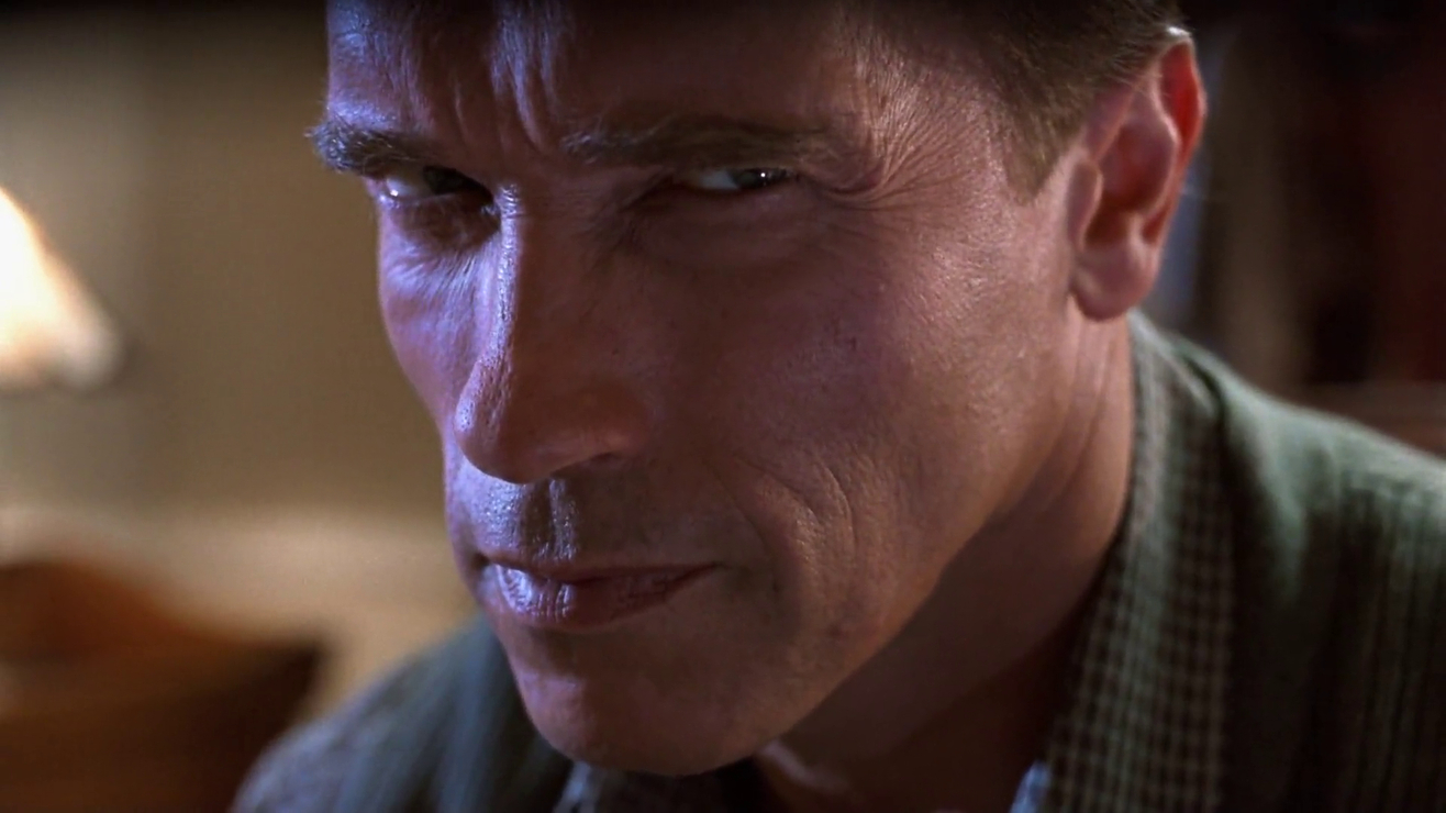 Picture of True Lies