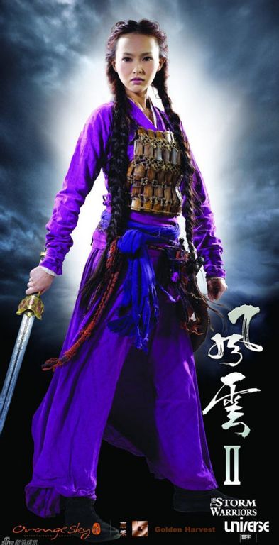 Picture of The Storm Warriors (The Storm Riders II)