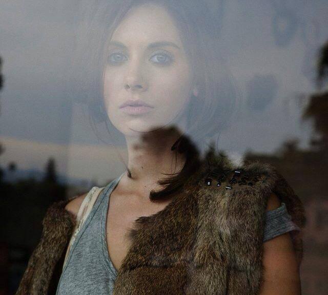 Picture of Alison Brie
